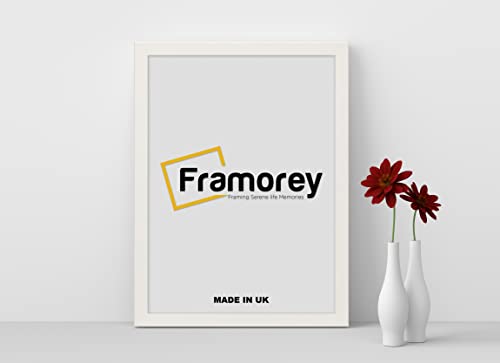 FRAMOREY A3 White Frame in Size 30x42cm – A3 Photo Frame White with ...