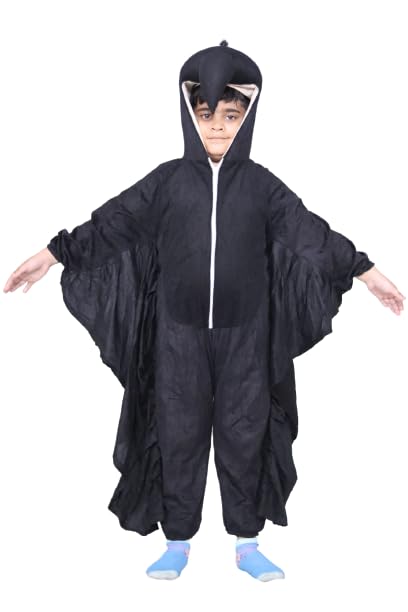Buy Milan dresses Crow Costume Set for Kids - Includes Mask and ...