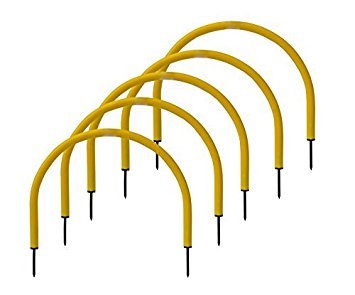 Cougar Football/Soccer Agility Training C-Shape Passing Arcs for ...