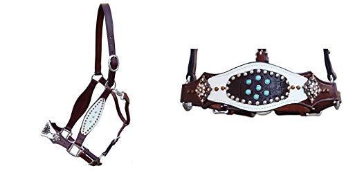 Lederhalfter Anatomisch – Die 15 besten Produkte im Vergleich & Angebote - aktualisiert: Mai 2025