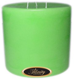 Trinity Candle Factory -Frangipani - Pillar Candle - 6x6 : Amazon.in ...