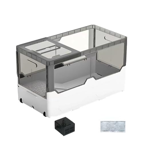 Armando tu kit terrario para tortugas de tierra - Mi Hogar