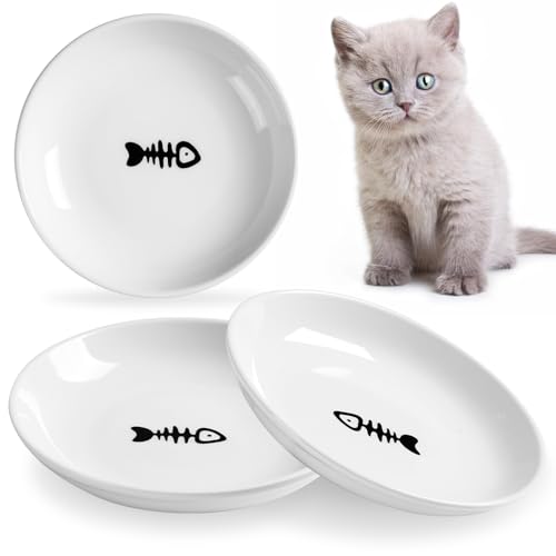 Cat Plates – The 15 best products compared - Wild Explained