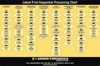 Poster,sequential Latent Processing Chart : Amazon.ca: Industrial ...