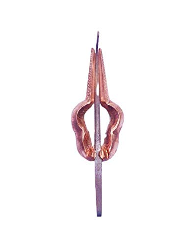 Indian Morchang Bhagavan Big Copper Curved Rhombus Sharp Morchang,Jews ...