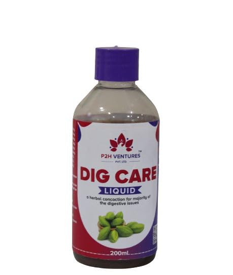 Buy DIG Care Liquid | Digestive syrup | Acid Reflux | Nausea Online at ...