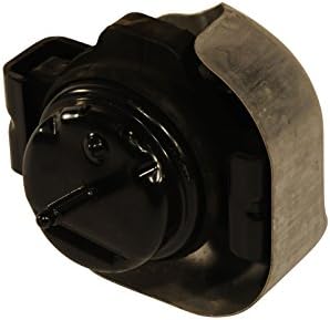 Amazon.com: GM Parts 25814754 Passenger Side Engine Mount : Automotive