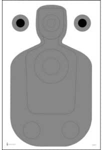 Amazon.com : MODIFIED TQ-21 QUALIFICATION TARGET 25 PACK : Hunting And ...