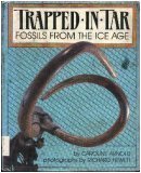 Trapped in Tar: Fossils from the Ice Age (A Junior Library Guild ...