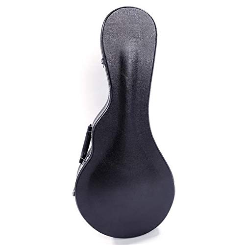 Top 10 Best Rogue Mandolin F Style : Reviews & Buying Guide - Katynel