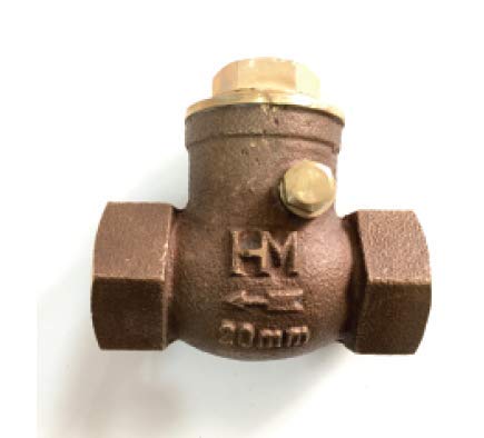 HM Gunmetal Swing Check Valve NRV 2IN1 ISI Certified } (1/2'' X 15MM ...