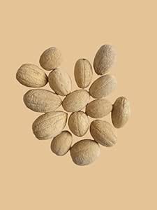 RUKDA® Dried Hingot Seeds - Balanites Roxburghii - Desert Date ...