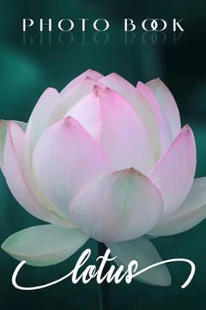 Amazon.com: Lotus Flower Photo Book: Blooming Flowers Colorful Pictures ...