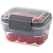 Amazon.com: SnapLock by Progressive Snack To-Go Container - Gray, Easy ...