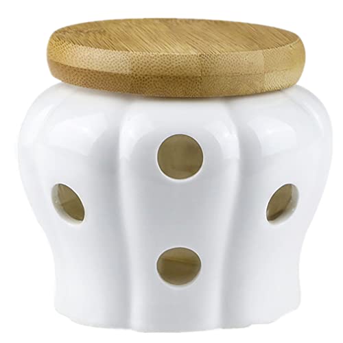 10 Best Garlic Keepers to Lengthen Garlic’s Shelf Life - Reorganize All