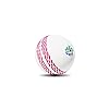 jaspo Synthetic T-20 Plus Practice Cricket Ball/Wind Balls (125-130 Gms ...