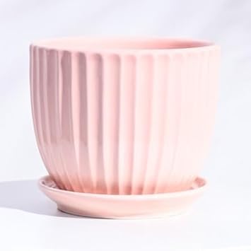 UGAOO Grail Ceramic Pot for Indoor Plants - Peach (5 Inch) : Amazon.in ...