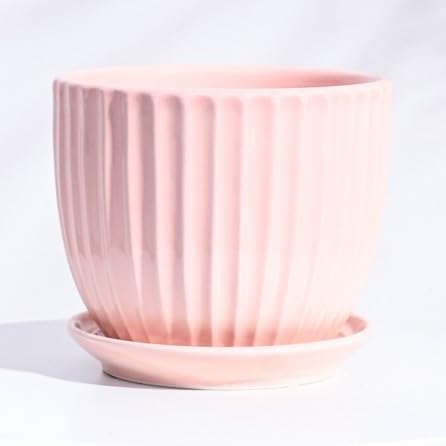 UGAOO Grail Ceramic Pot for Indoor Plants - Peach (5 Inch) : Amazon.in: Garden & Outdoors