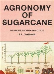 Agronomy of Sugarcane Principles And Practice : Amazon.in: Books