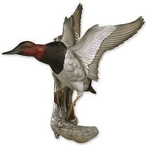 Amazon.com: Flying Canvasback Wall Mount Sculpture : Home & Kitchen