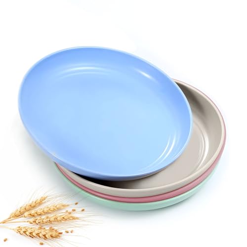 10 Best Microwave-Safe Plastic Plates for Easy and Convenient Dining