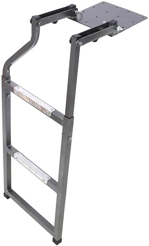 Amazon.com: Universally Applicable Pickup Truck Tailgate Ladder ...