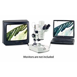 Boreal Digital/Analog Zoom Stereomicroscope & Digital/Analog Research ...