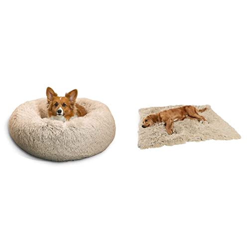 Unleashing the Best: Top 10 Sheri's Dog Grooming Products Reviewed and ...