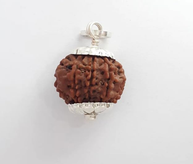 RDESIGN Eight Mukhi Rudraksha Original Certified Nepali Big Size Beads ...