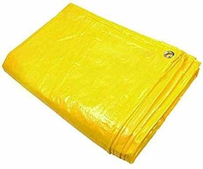 SR Tarpaulin Sheet Waterproof Tirpal Heavy Duty 20 X 20 Ft Poly ...