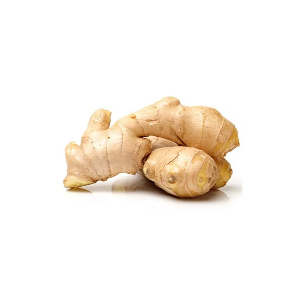 Amazon.com: Ginger Root Organic, 6 Ounce : Grocery & Gourmet Food