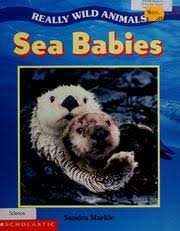 Amazon.co.jp: Title: Really wild animals Sea babies : Japanese Books