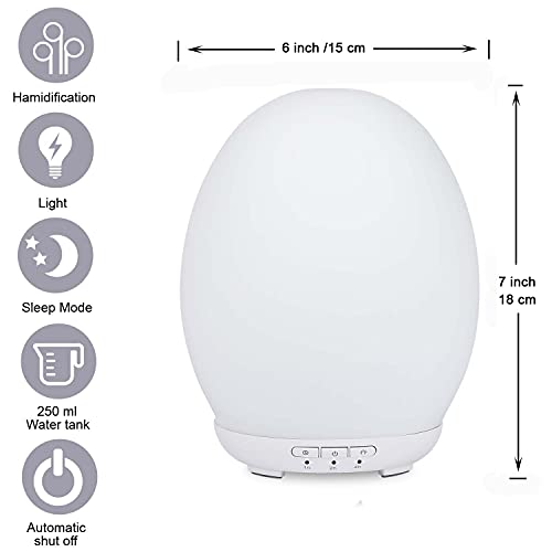 The 30 Best Oval Diffusers of 2024 [Verified] - Cherry Picks