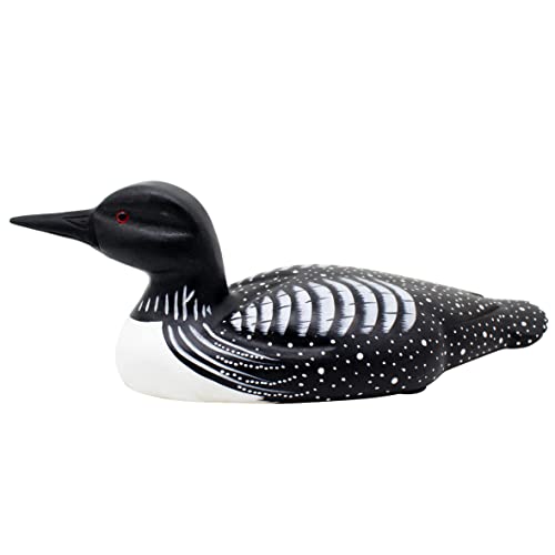 The Ultimate Guide to the Loon Bird: 5 Species, Calls, and Where to ...