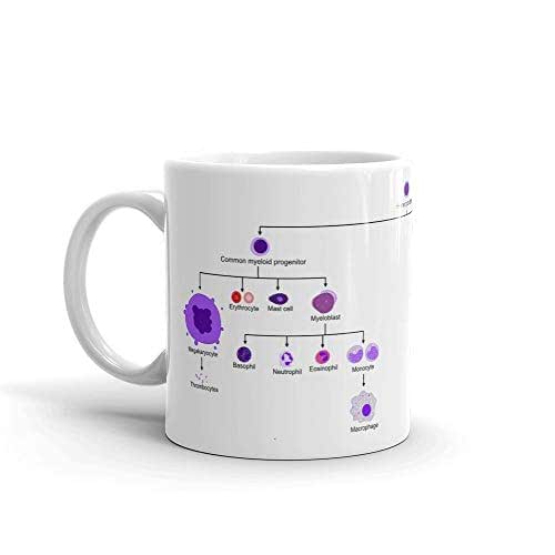 Amazon.com: Hematology Coffee Mug | FREE SHIPPING - PERSONALIZED Name ...