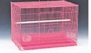 Bird CAGE Pink Colour 2FT with 2 Gate-Best for Love Bird Cages, Parrot ...
