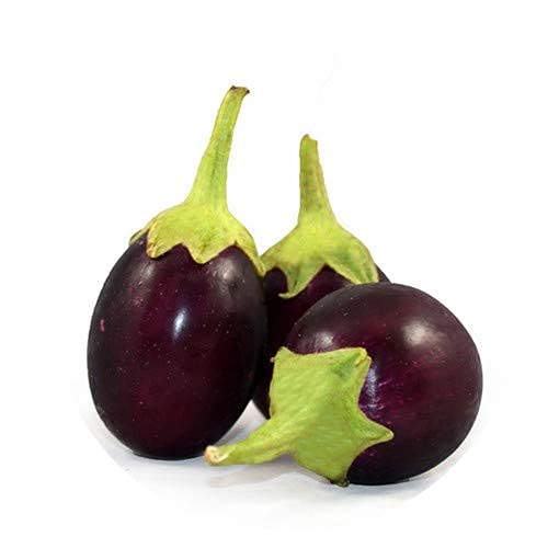 Brinjal Chu Chu Vegetable Seeds For Winter Season pack of 30 seeds ...