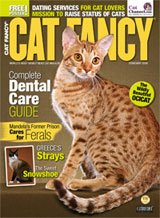 Cat Fancy Magazine February 2009 Ocicat: Cat Fancy: Amazon.com: Books