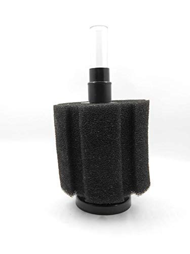 Sobo Aquarium Sponge Filter by Jainsons (SB-3330) : Amazon.in: Pet Supplies