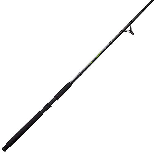 Top 10 7 Foot Spinning Rod of 2022 - Katynel