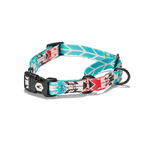 Best Collars For Large Dogs That Pull - Alpha Pets UK