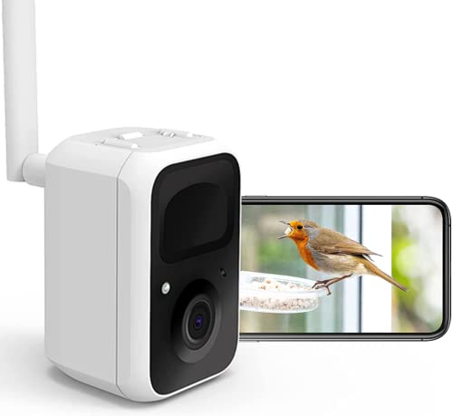 The best bird feeder camera in 2023 | Digital Camera World