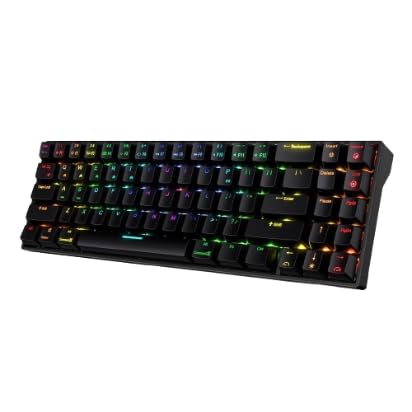 Amazon.in: Buy RK71 70% Wireless Keyboard 71 Keys Hot-Swappable ...