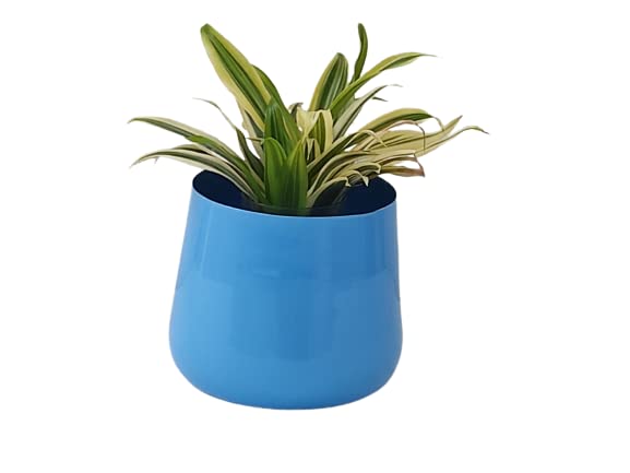 ADVI Decorative Table Top Flower Pot Metal Planter for Indoor Plants ...
