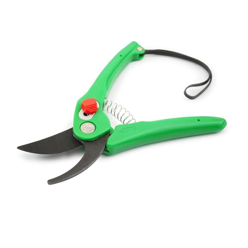 Amazon.in Bestsellers: The most popular items in Gardening Scissors