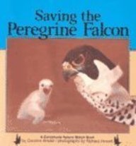 Saving the Peregrine Falcon: Caroline Arnold: 9780613280532: Amazon.com ...