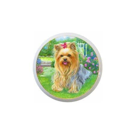 Amazon.com: Yorkie - Dogs - DECORATIVE Ceramic Dresser Drawer PULLS ...