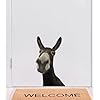Amazon.com: Cute Donkey Wall Decal - Peel & Stick Funny Donkey Head ...