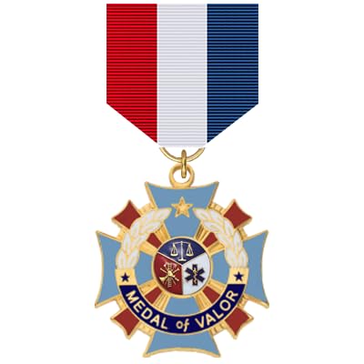 Amazon.com: Smith & Warren custom recognition medals for Police, Fire ...