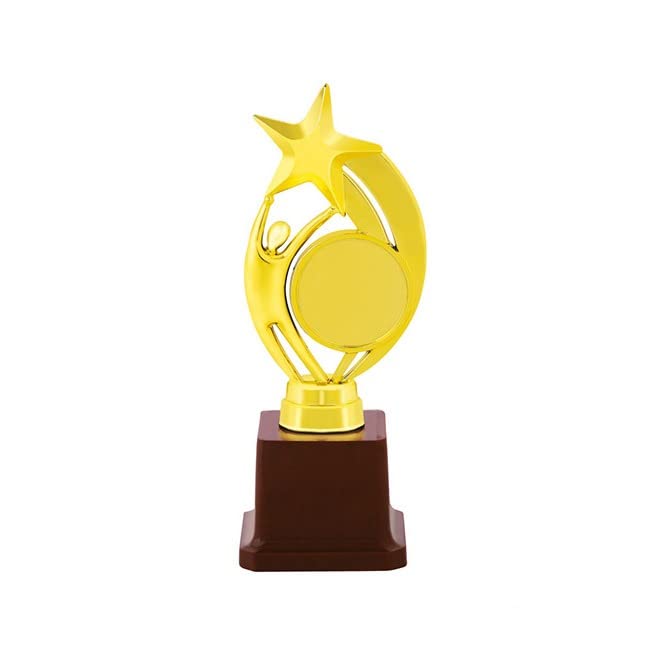 Super Shiny Winner Trophy Award Momento for Best Team 9.5 Inch Trophy ...